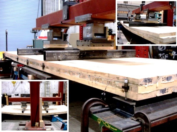 UBC Timber Engineering and Advanced Mechanics (TEAM)